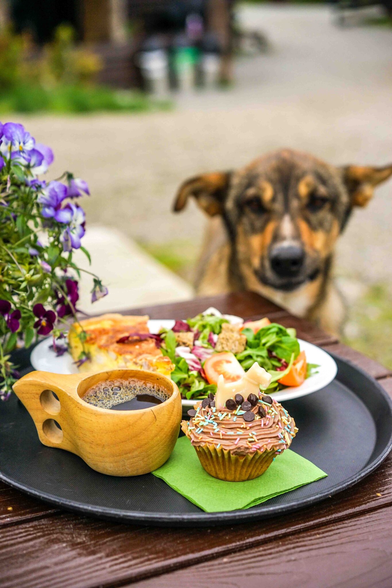 Husky Café - Villmarksenter